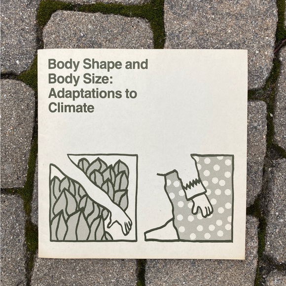 Other | 1971 Body Shape And Body Size Adaptations To Climate Education ...
